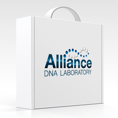 Non-Invasive Prenatal Paternity Test - Alliance DNA